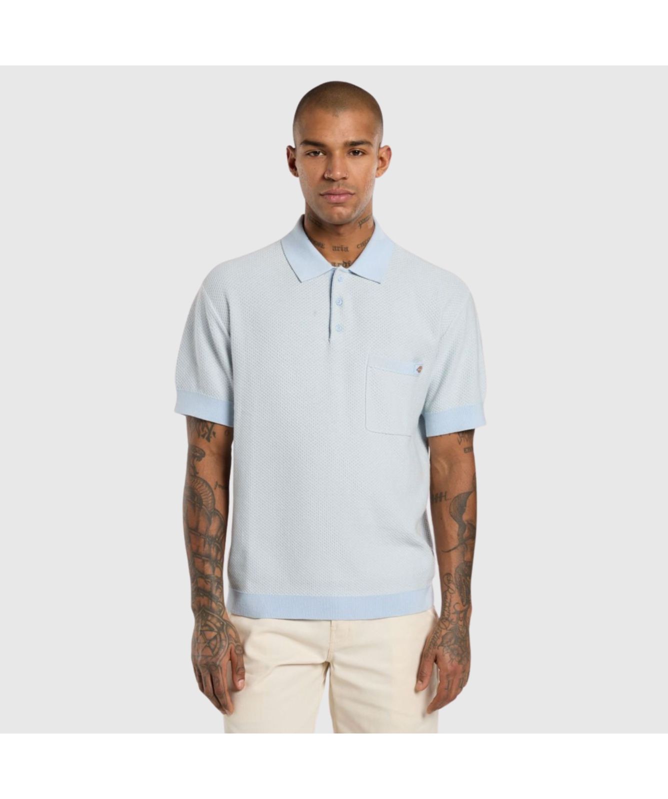 Dickies Rocky Knit Polo Shirt | Sky Blue - DK0A4Z7AF901 | Kular Fashion
